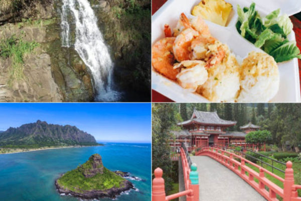 Hawaii Tours on Oahu- Circle Island Adventure with Oahu Nature Tours